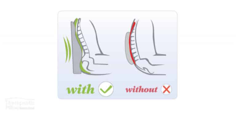 Total Spinal Postural Support: Back & Spine Chair Cushion | Back & Neck